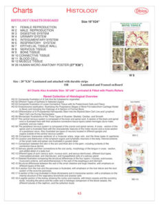 Histology Chart – Shubh Enterprise