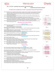 Histology Chart – Shubh Enterprise