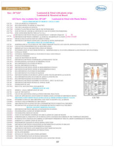 Forensic Chart – Shubh Enterprise