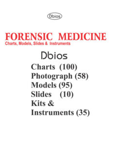 Forensic Medicine Chart, Model, Slide and Instrument – Shubh Enterprise