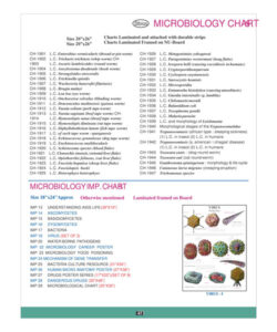 Microbiology Chart – Shubh Enterprise